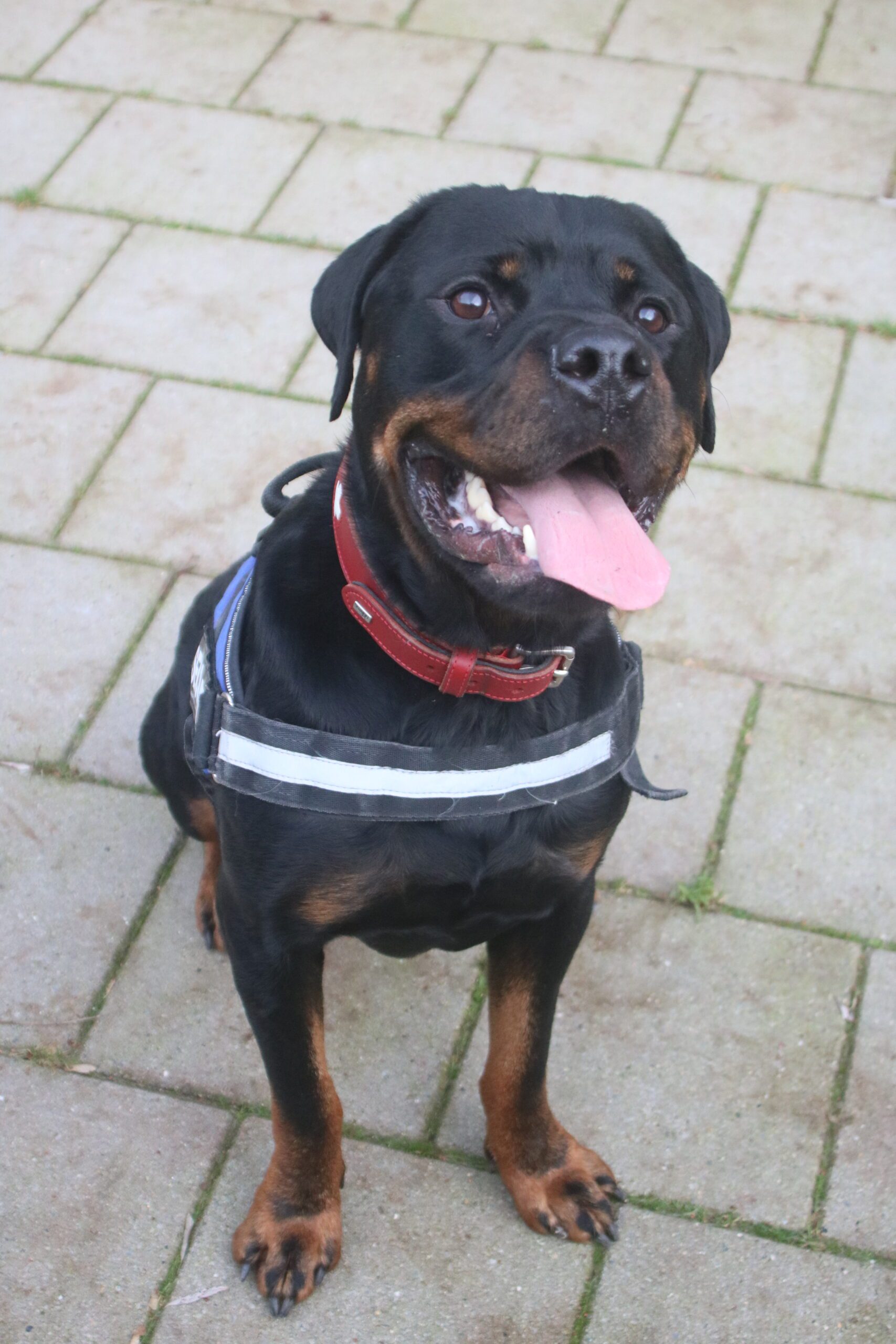 400 Donder - asieljulialaantje