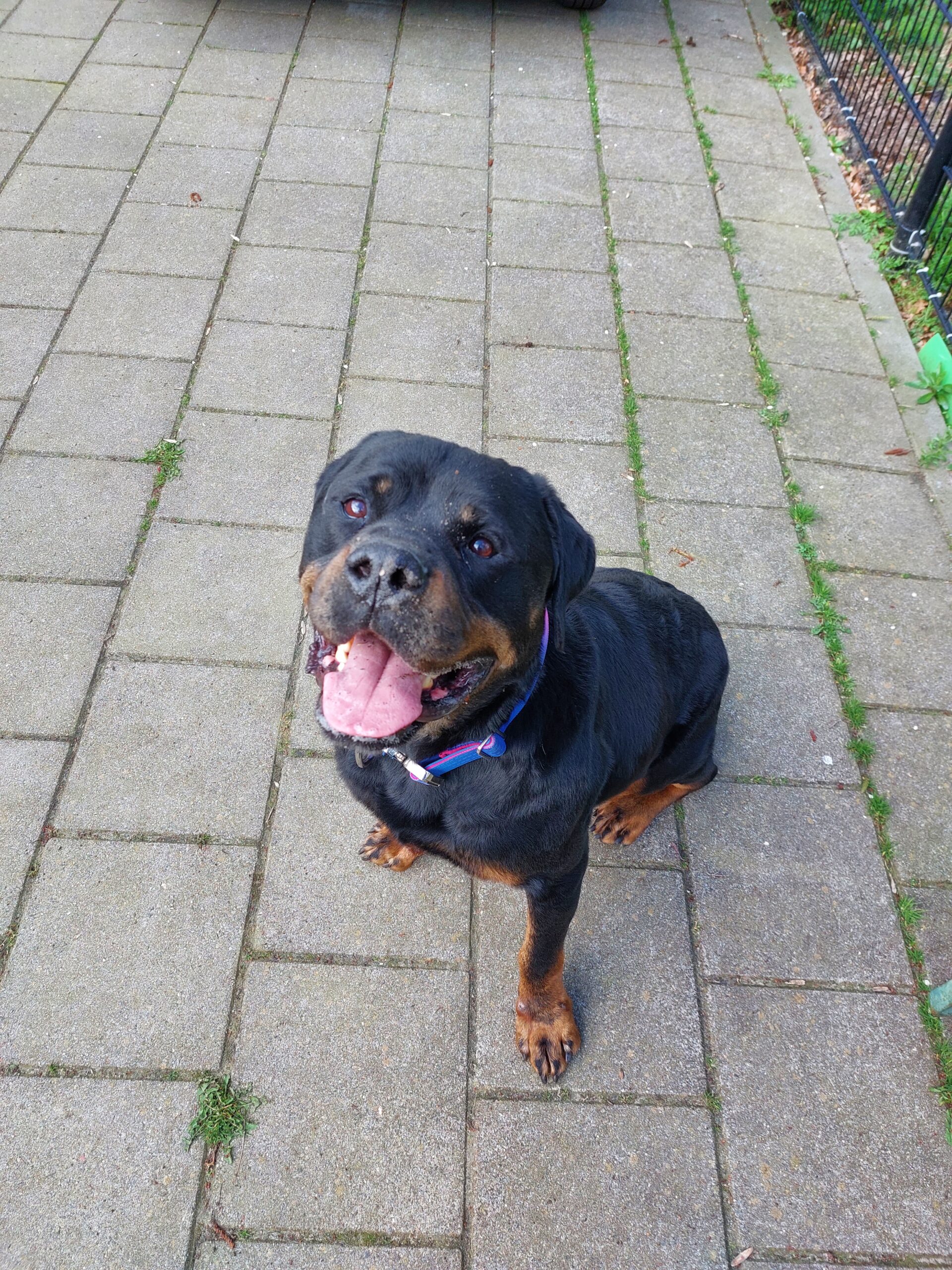 400 Donder - asieljulialaantje